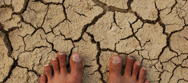 Fondation » Drought And Hunger